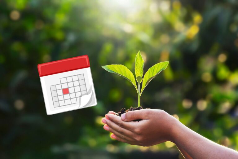Calendario verde: las fechas ambientales más importantes del segundo ...